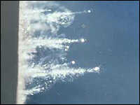 Sitting at Home, Searching for Stardust : NPR