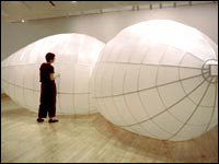 From Microscopes to Large-Scale Sculpture : NPR