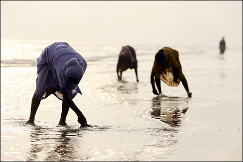 Where the Ganges Meets the Sea, a Journey Ends : NPR