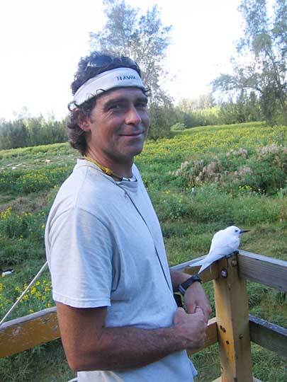 The Bird Man of Midway Atoll : NPR