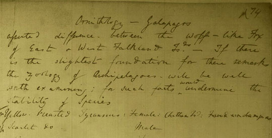 Darwin's Notes and Thoughts Go Online : NPR