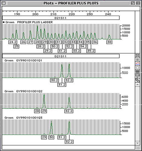 FBI's New Technology Revolutionizes DNA Analysis : NPR