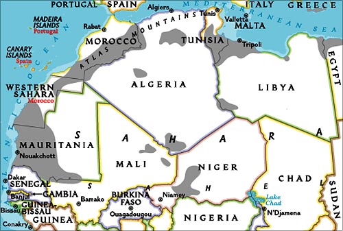 Desert Locusts Plague West Africa : NPR