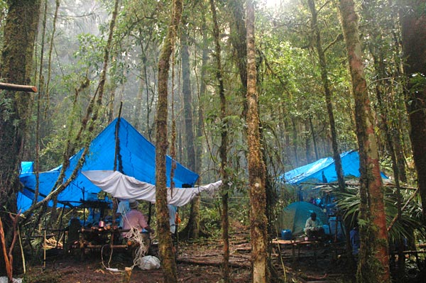 Interviews: Bruce Beehler's Lost World : NPR