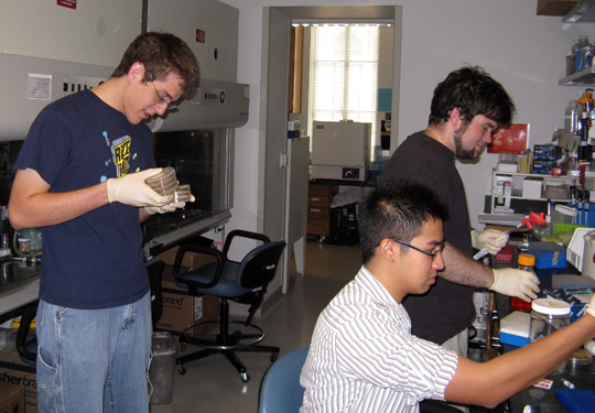 Turning Beer Into Wine, One Gene At A Time : NPR