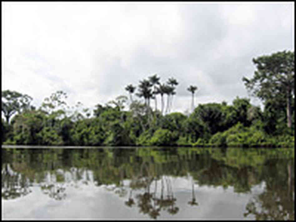 Xingu Tribe Am Brazil The Xingu Tribes Is The Biggest